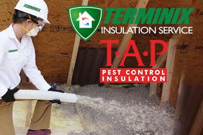 TAP Insulation Home Insulation - Terminix Pest Control