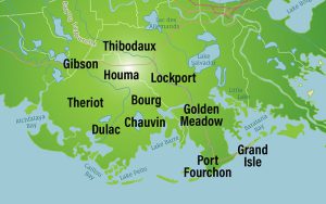 Terminix Houma Pests Termite - Pest Control Service in Houma, LA