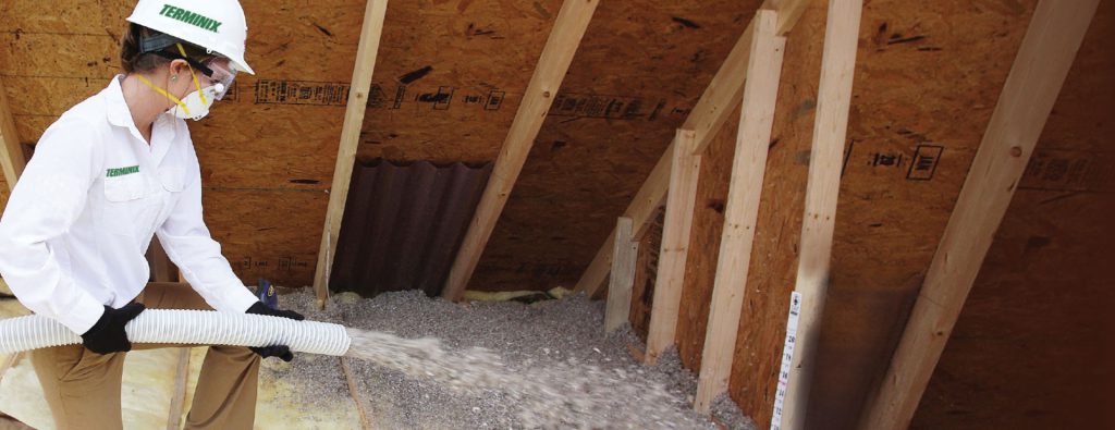 TAP Insulation Home Insulation - Terminix Pest Control